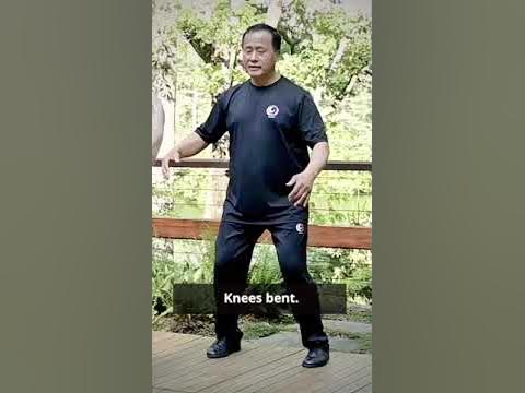 Sinking and Rooting in Standing Zhan Zhuang | Tai Chi Taijiquan | Master Ren Guangyi & Chi Force ...