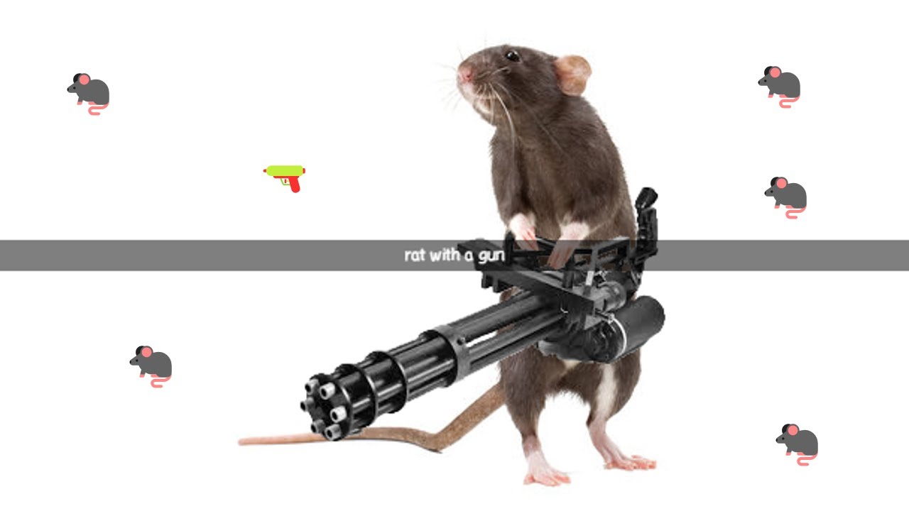 MiniMogus - Rat With A Gun - YouTube