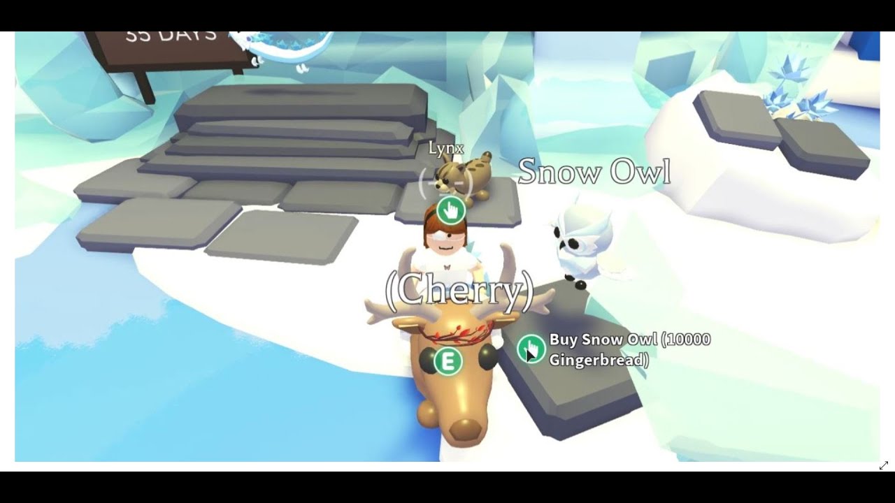 OMG Adopt me winter update 2020 | adopt me christmas update 2020 adopt ...