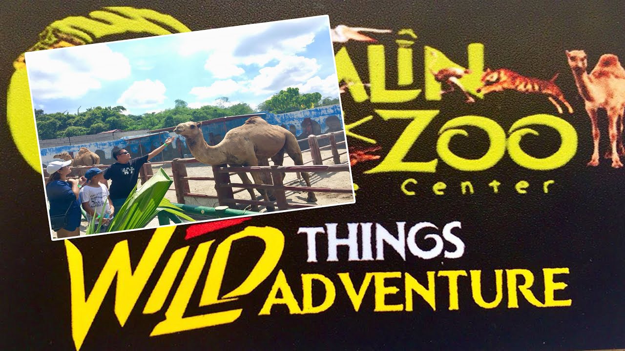 GENALIN PARK ZOO and Rescue Center - YouTube