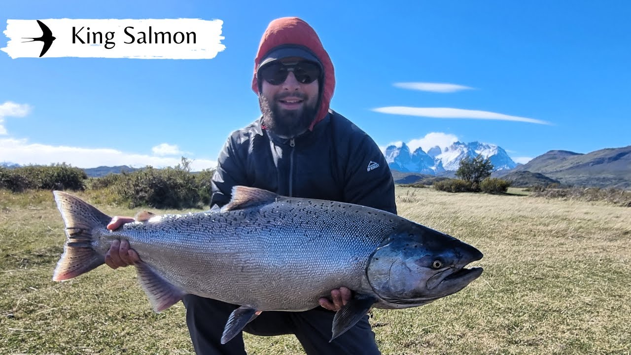 King Salmon in Rio Serrano // Pesca Chinook en Rio Serrano // Fishing ...