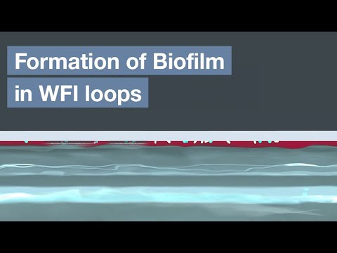 Formation of Biofilm in WFI loops - YouTube
