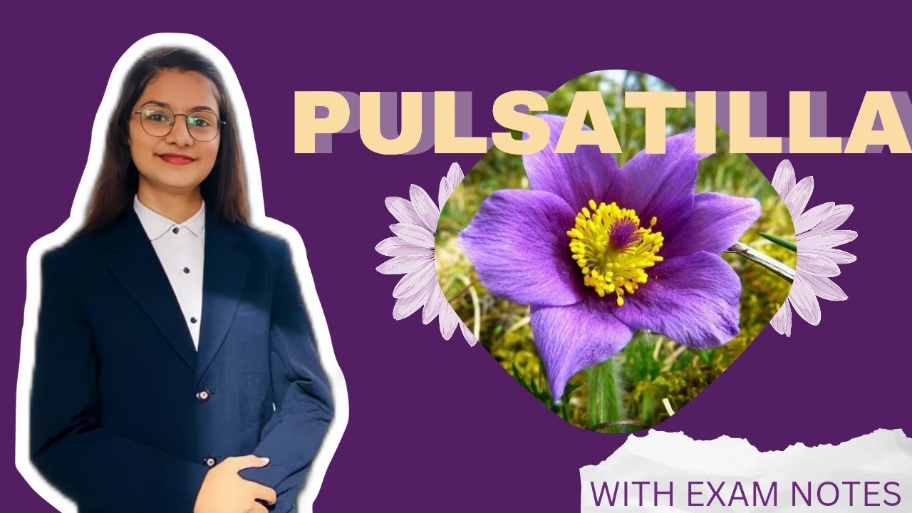 PULSATILLA Homoeopathic Drug Picture |PART-2 | | EASY Understanding ...