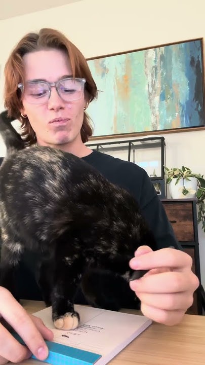 Cat interrupts study session#cats #study #cute #funny - YouTube