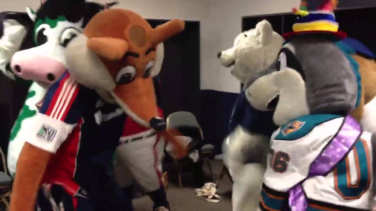 Mascot Shake - YouTube