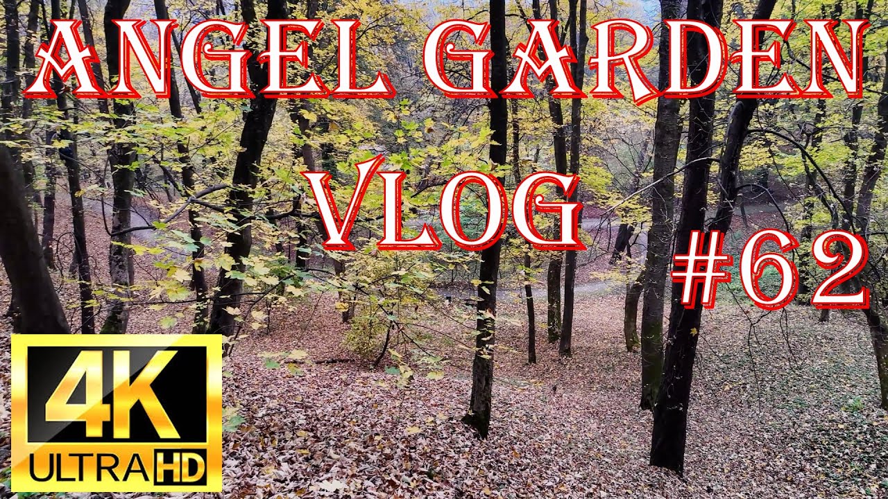 #62 Angel Garden Vlog -Discover the EASY Way to Find Peace in the City ...