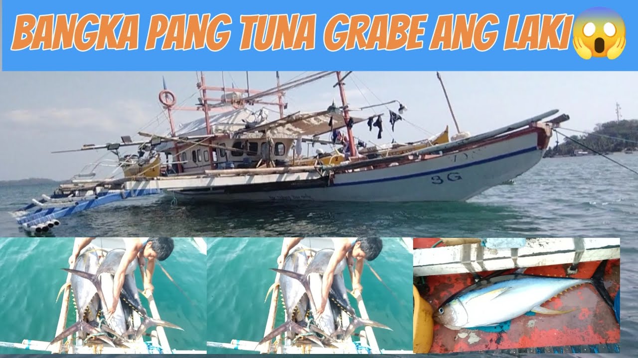 BANKA PANG TUNA GRABE ANG LAKI | BIG TUNA | FISHING IN THE PHILIPPINES ...
