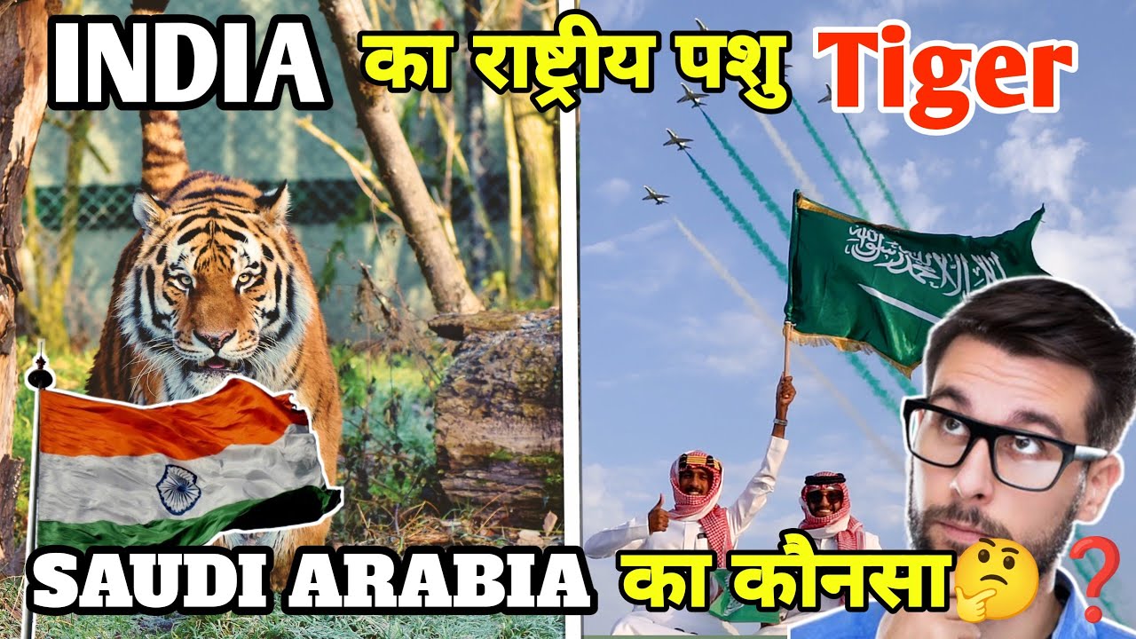 India🇮🇳 का National Animal Tiger तो Saudi Arabia🇸🇦 का कौनसा🤔 /India vs ...