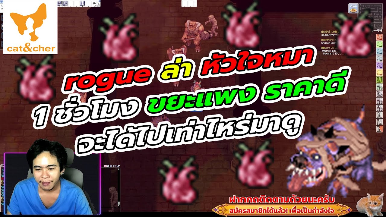 ragnarok classic rogue ล่า ใจหมา Verit เงินดี ขยะแพง 1 ชั่วโมง จะได้ ...