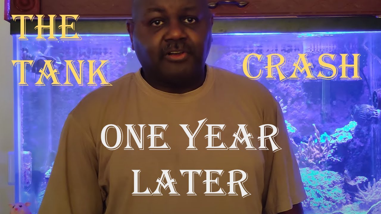 A Year After The Tank Crash - YouTube