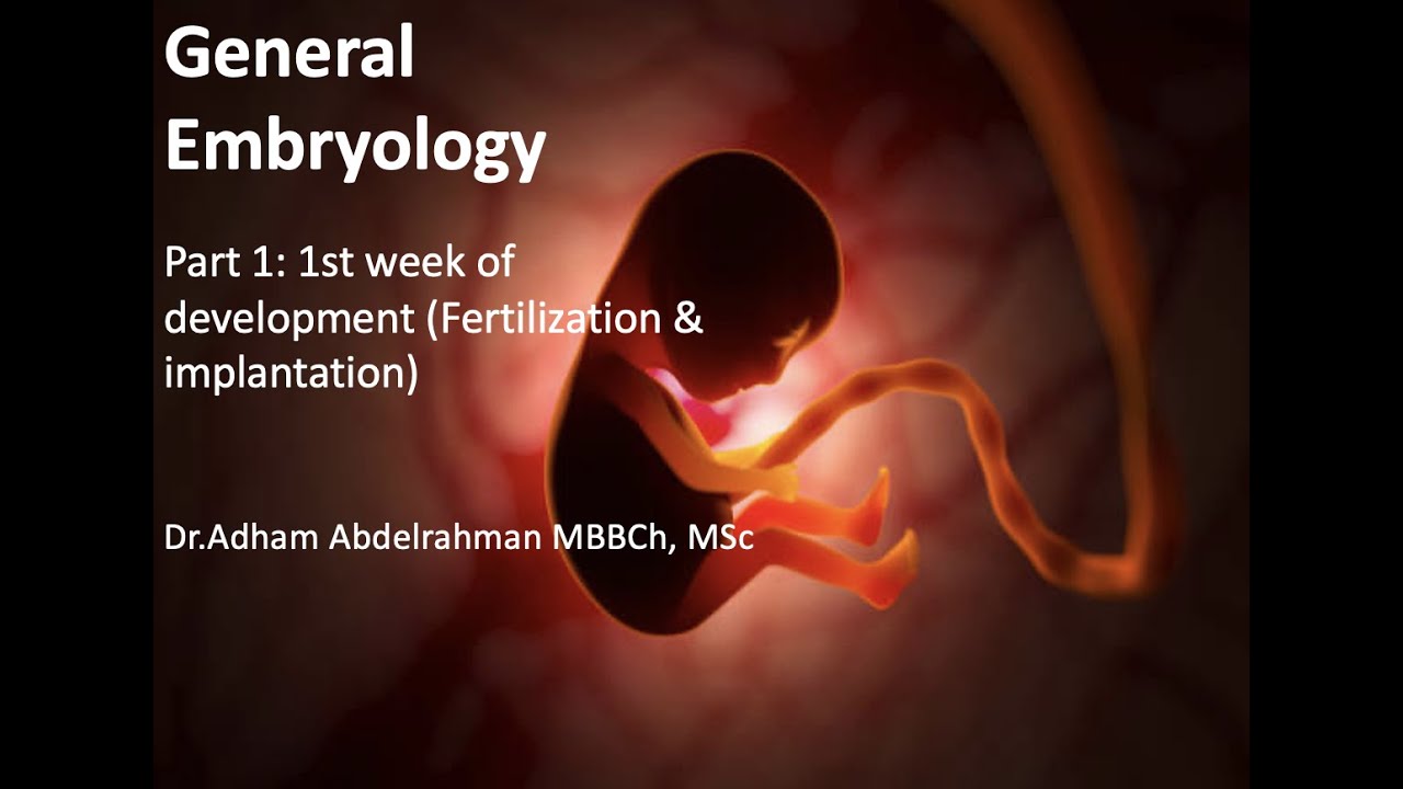 General Embryology part I: 1st week of development (Fertilization ...
