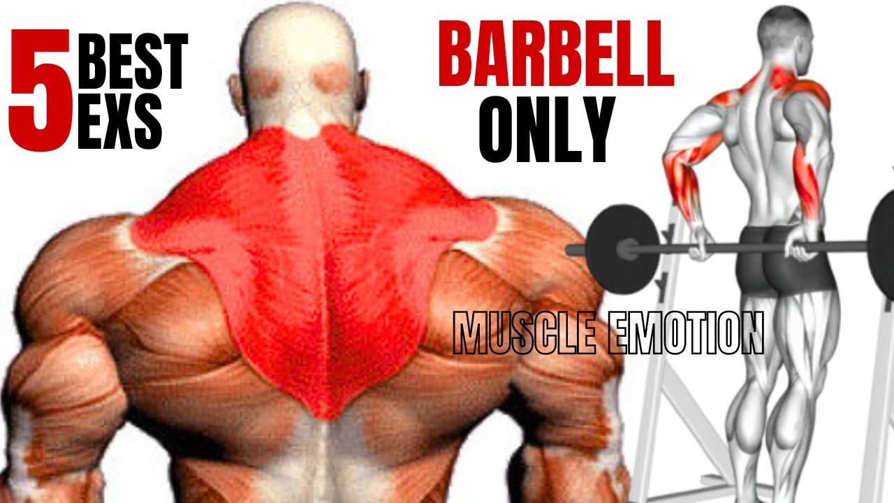 TRAPS WORKOUT- 5 best exercises wit barbell only at home - YouTube