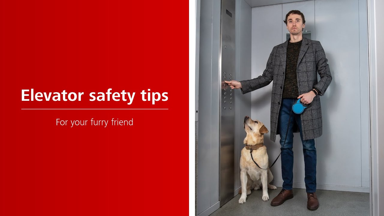 Elevator Safety Tips For Pets|Schindler India - YouTube