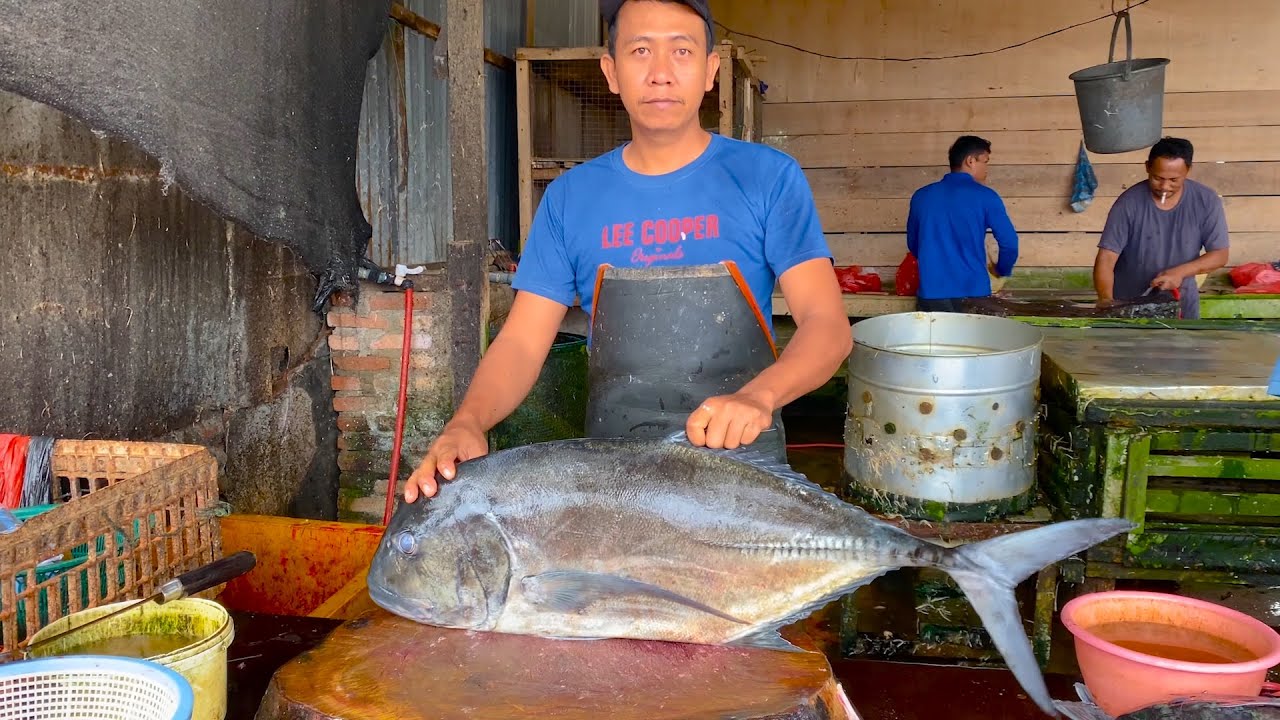 EXPERT FISH CUTTER || TREVALLY FISH CUTTING & SLICING IN FISH MARKET ...