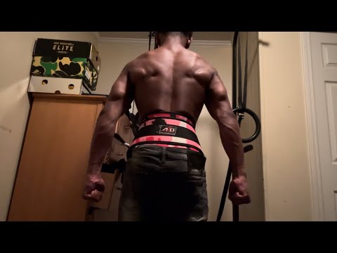 Day 243 - Back | Bulking - YouTube