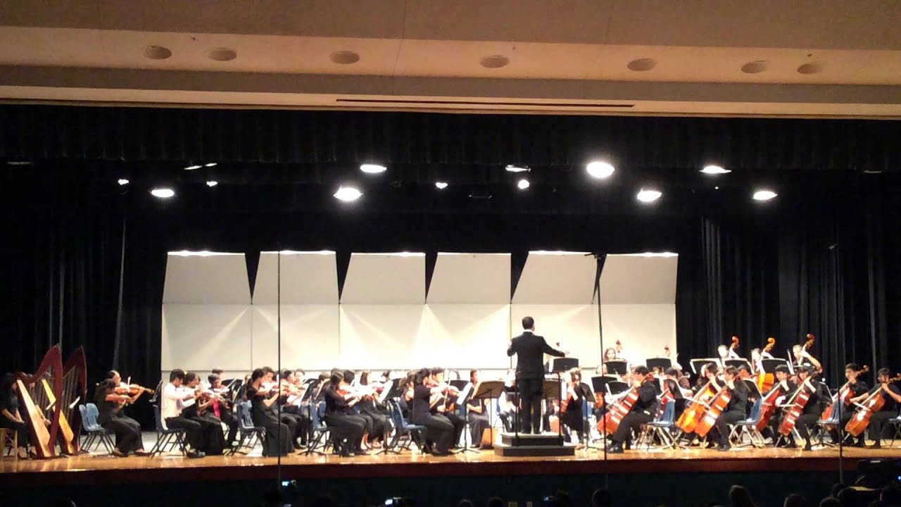 Texas All Region Chamber Orchestra 2014- Symphony No 8 - YouTube
