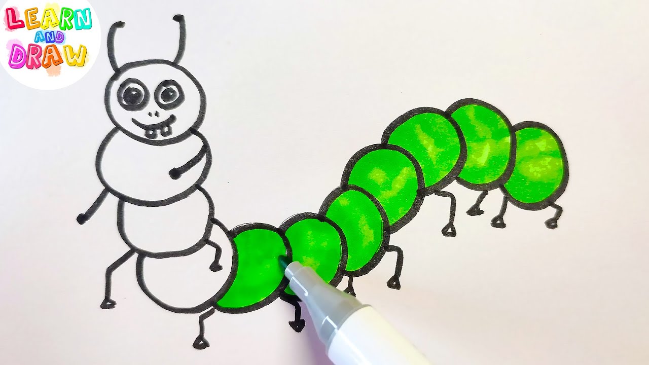 How to draw caterpillar drawing easy | caterpillar Drawing step by step ...