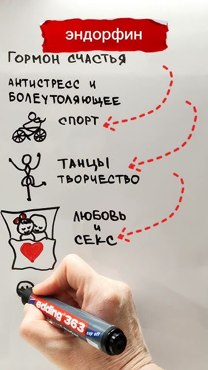 Биохимия счастья. Эндорфины. Как добыть - YouTube