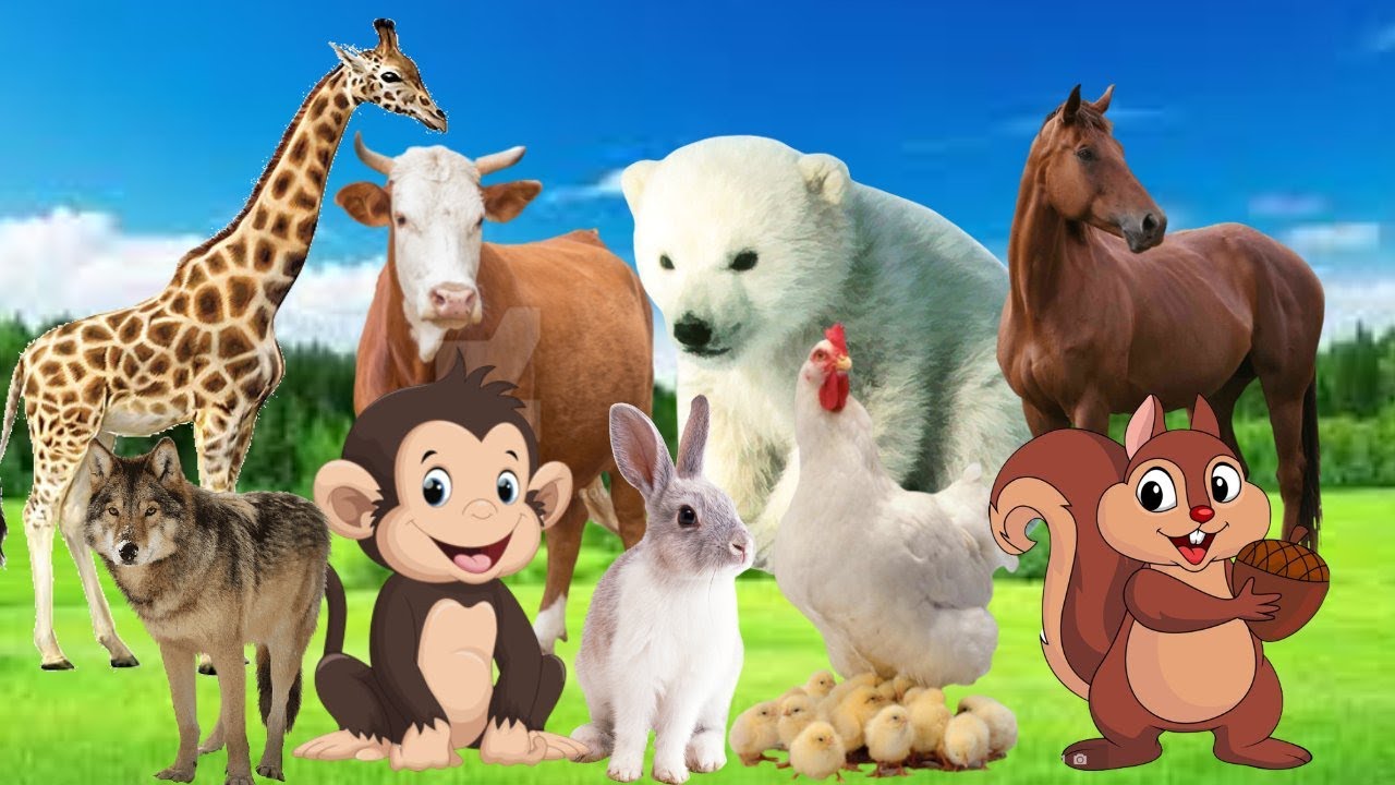 Adorable cute animals - Giraffe, Bear, Caterpillar, Squirrel, Rabbit ...
