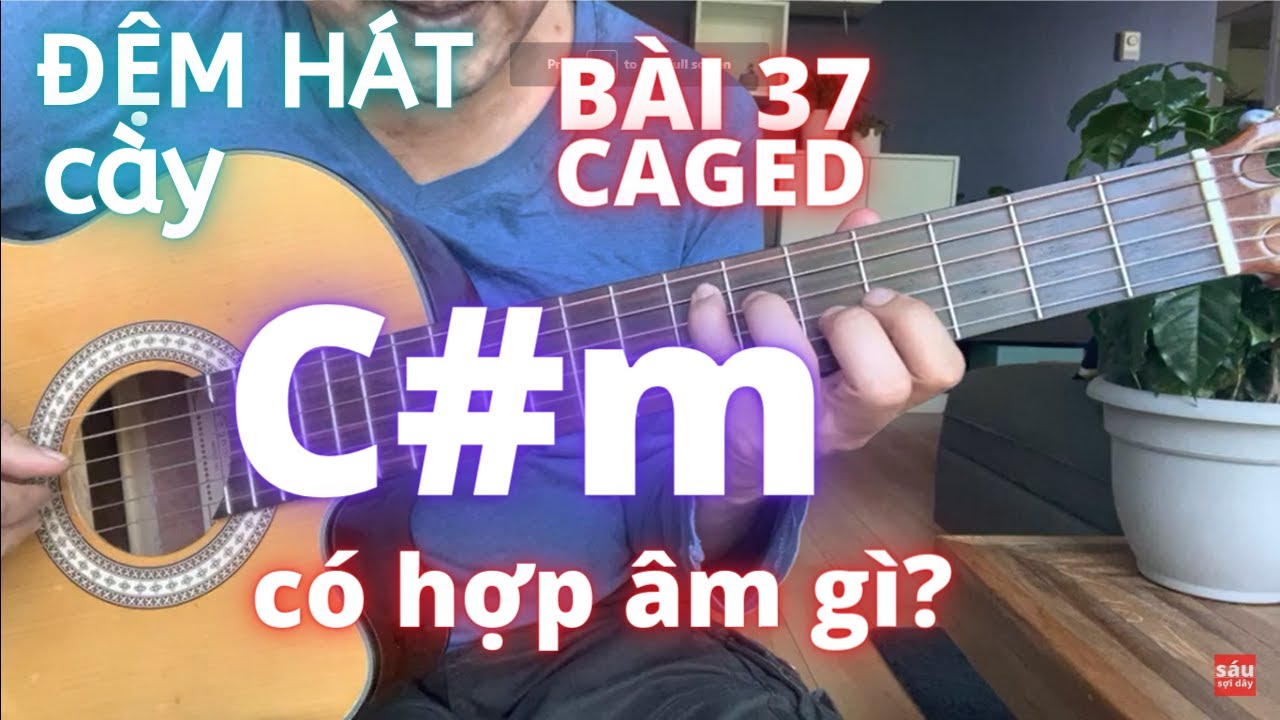 Tông C#m Có Hợp Âm Gì & Bấm Hết Cần Đàn Guitar | Học Guitar Theo CAGED ...