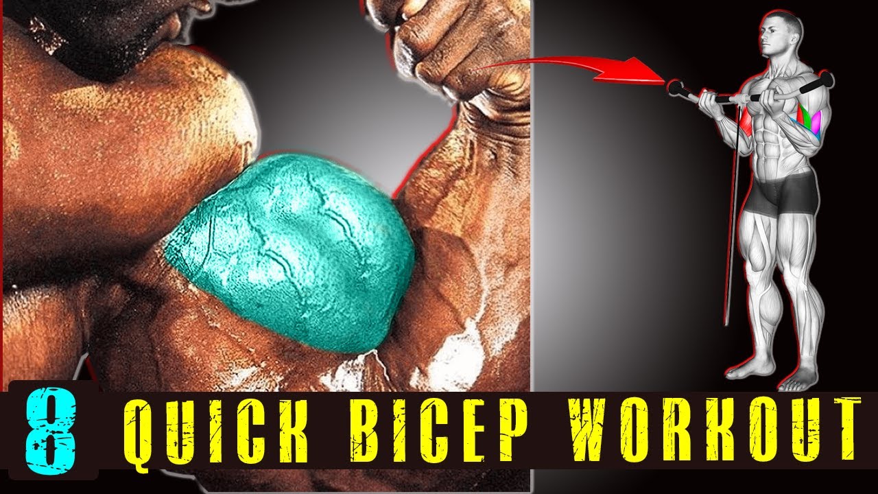 8 Quick Workout to Grow BIG BICEPS Fast - Gym Body Muscles - YouTube