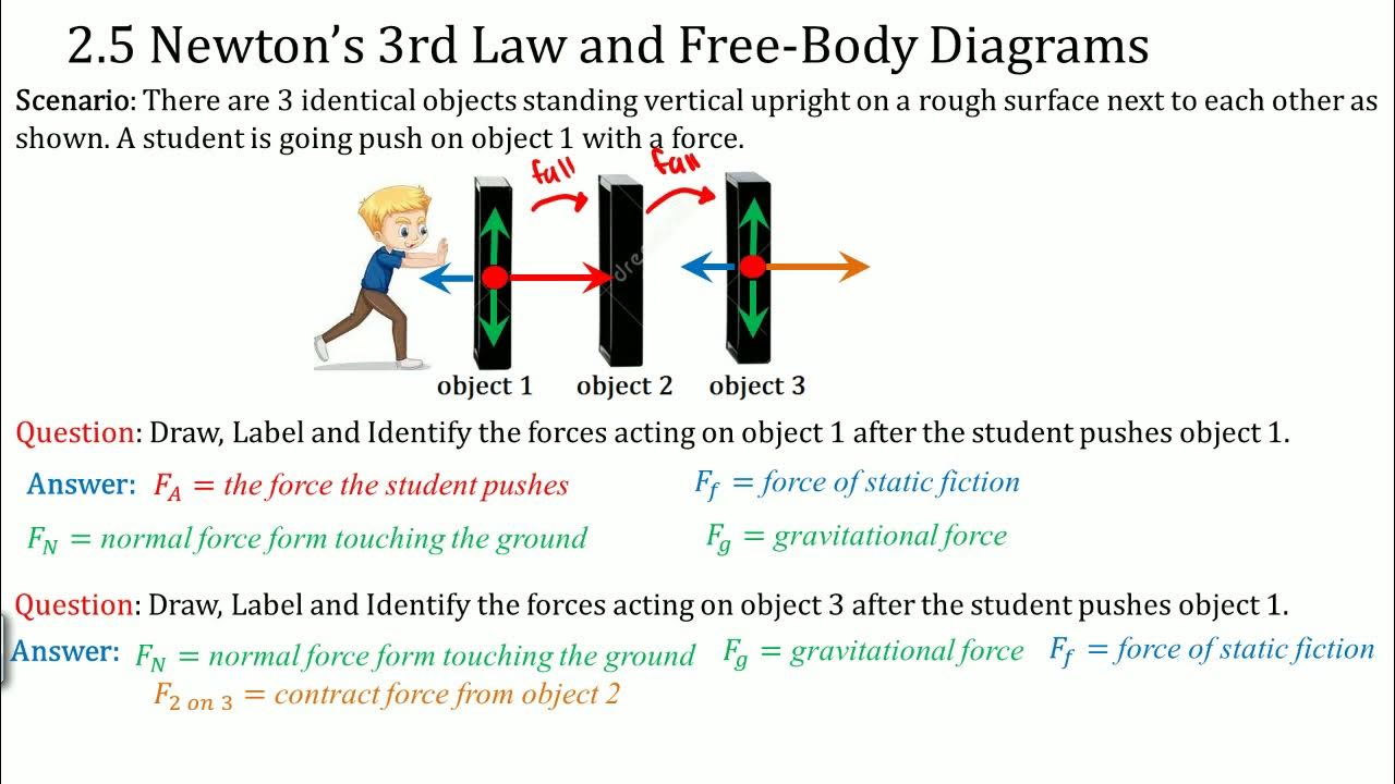 5M2A5 Free Body Diagram Newtons 3rd Law - YouTube