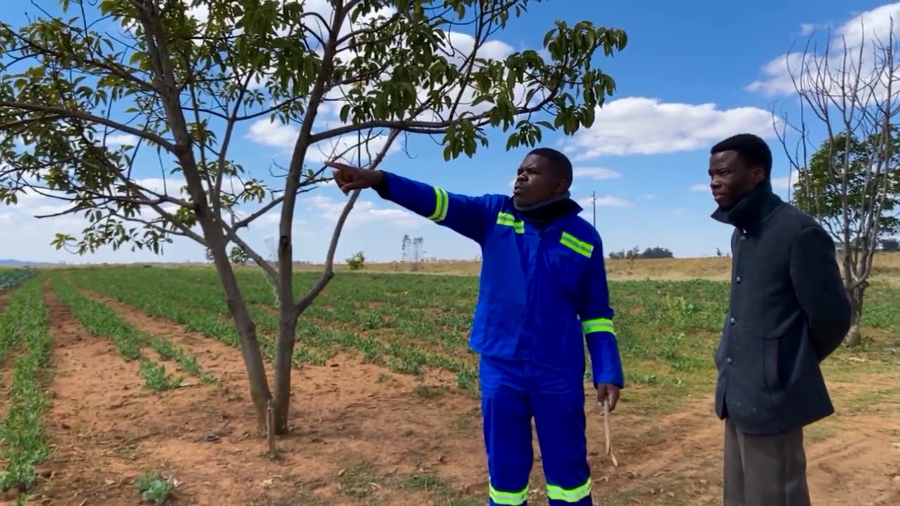 Kufira MuPrazi - YouTube