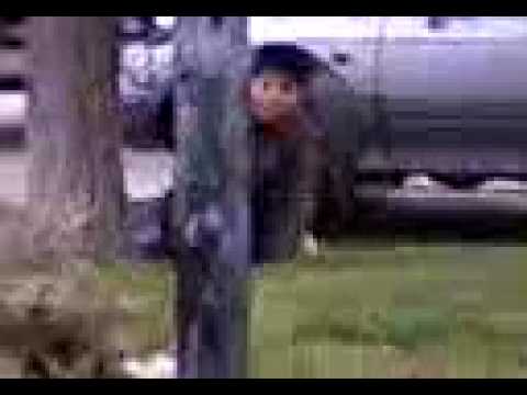 el potazo en la cara