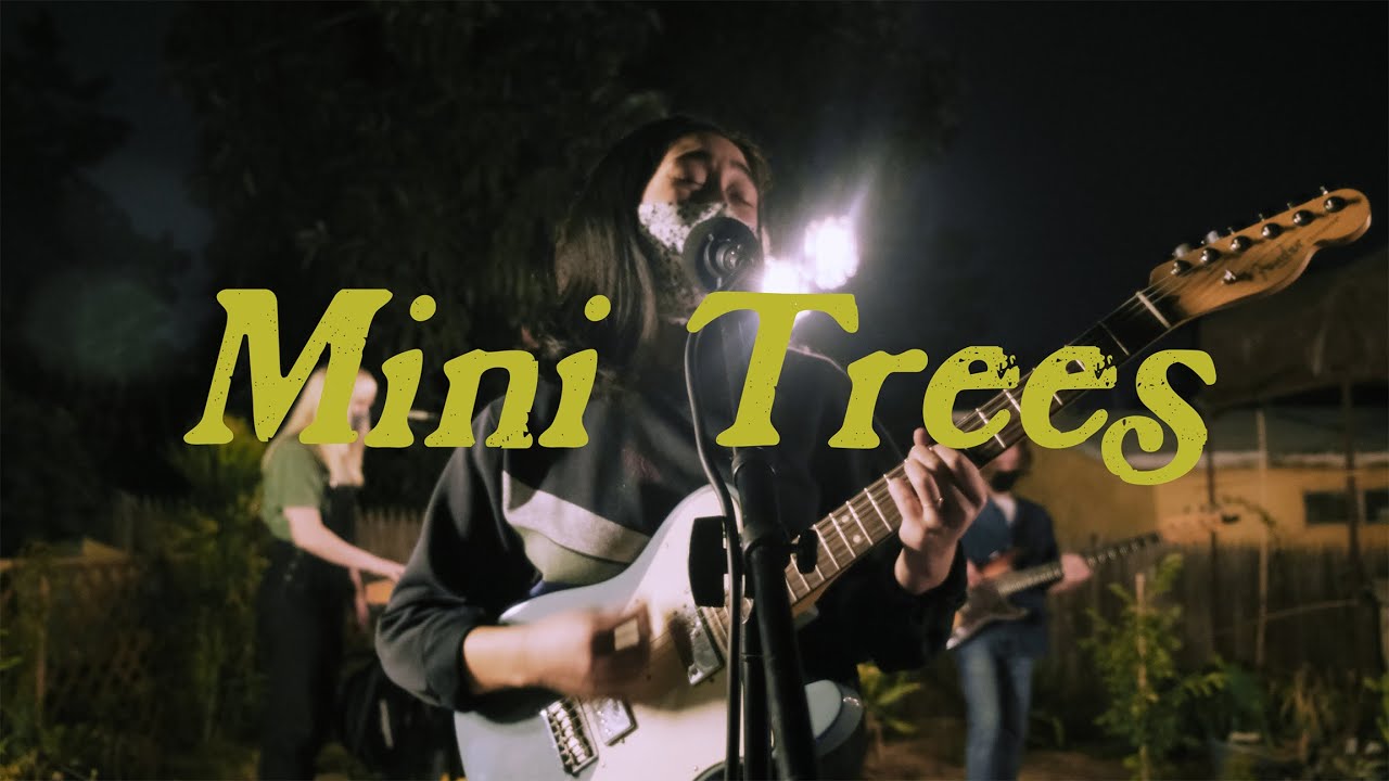 Mini Trees - Honestly (House Call Sessions) - YouTube