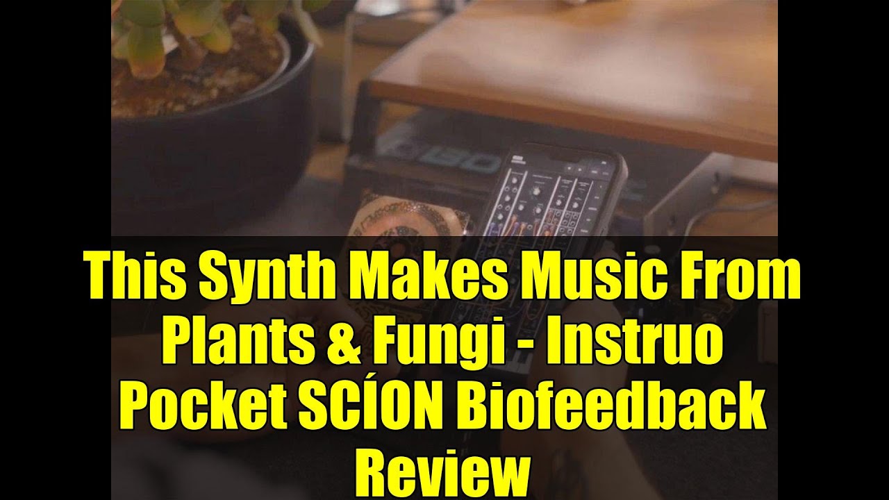 This Synth Makes Music From Plants & Fungi - Instruo Pocket SCÍON ...