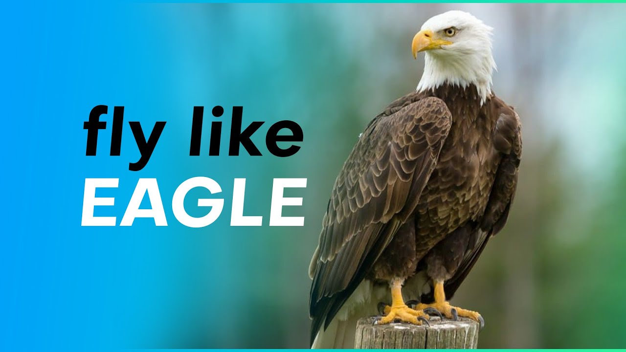 Fly like Eagle #RajkumarJeremy #LatestNewSongs&Messages #Eagle - YouTube