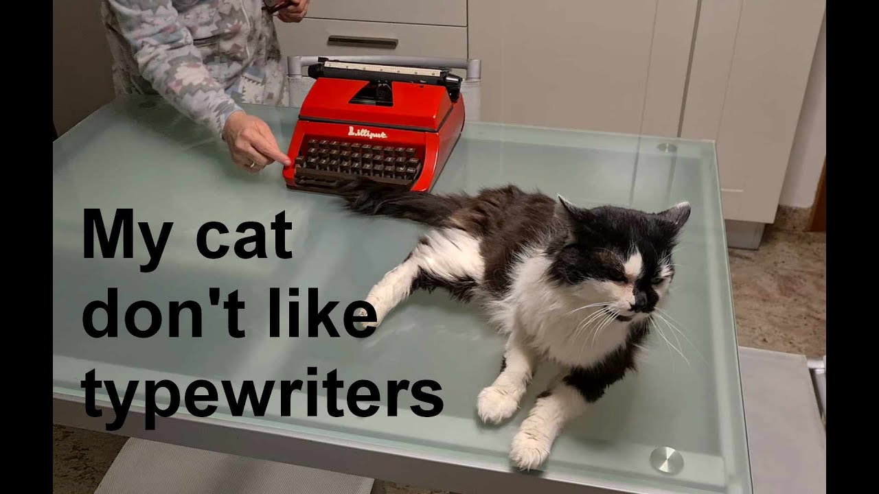 My cat don't like typewriters Part 3: Pavlov theories, cats and ...