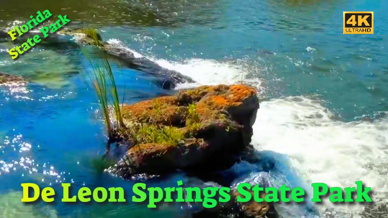 Escape the Bubble: Exploring De Leon Springs State Park - YouTube