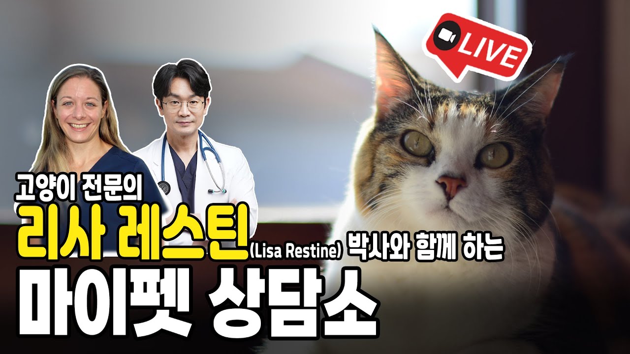 [제222화]고양이 전문의 리사 레스틴(Lisa Restine) 박사와 함께하는 라이브 상담소 - YouTube