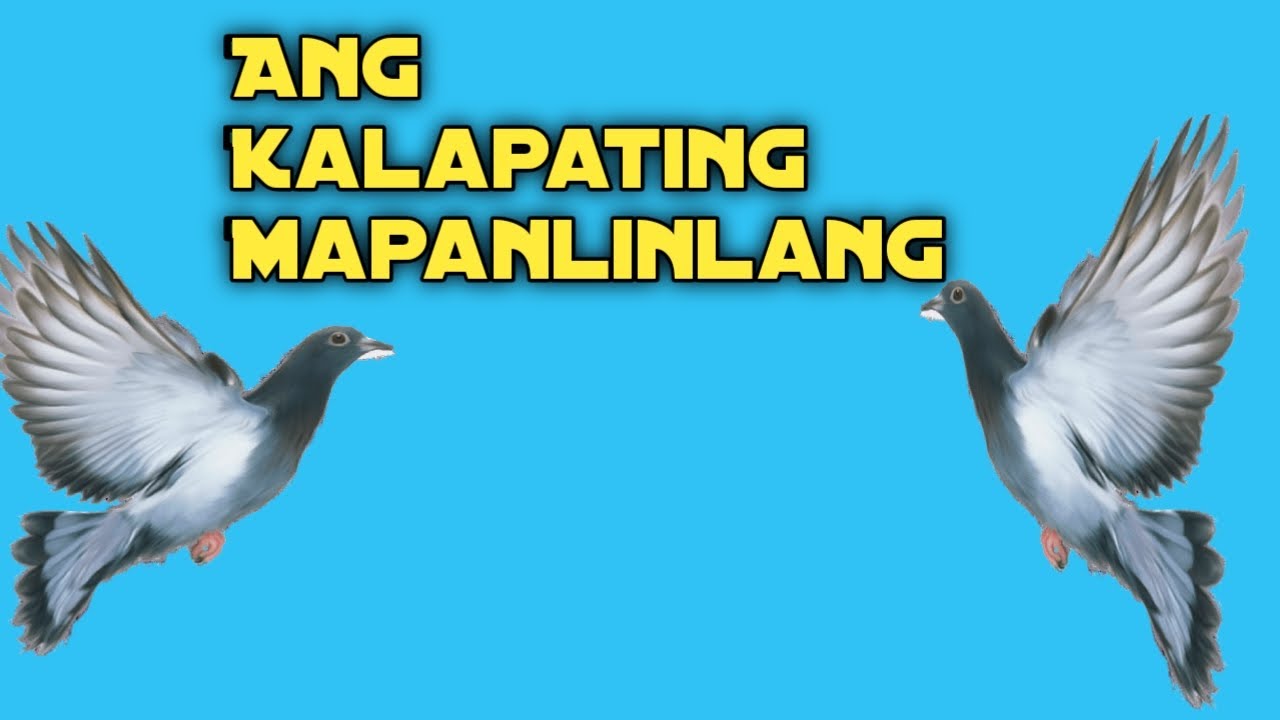 ANG KALAPATING MAPANLINLANG | KWENTONG PAMBATA | Salve Malaya - YouTube