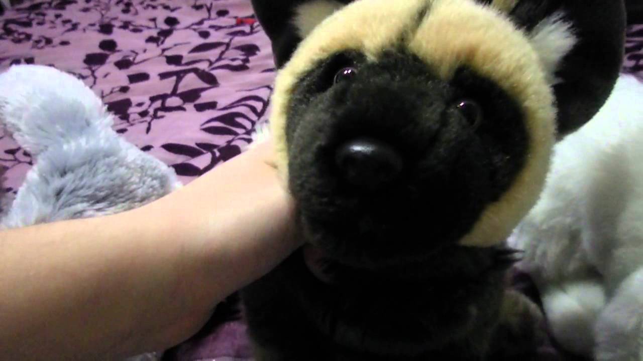 Webkinz wolf quest family tree - YouTube