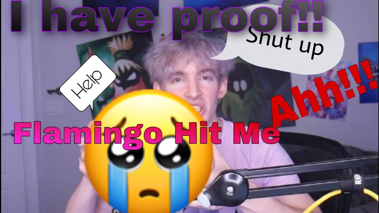 Flamingo Abuses His Fans (proof) flamingo is a bully, flamingo hit me ...