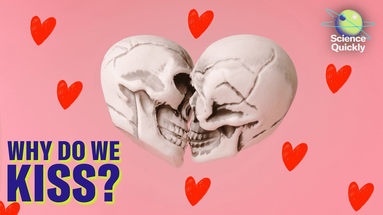 The evolutionary riddle of kissing | Science Quickly - YouTube