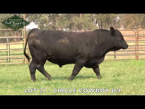 LOT 21 CIRCLE COWBOY J64 - YouTube