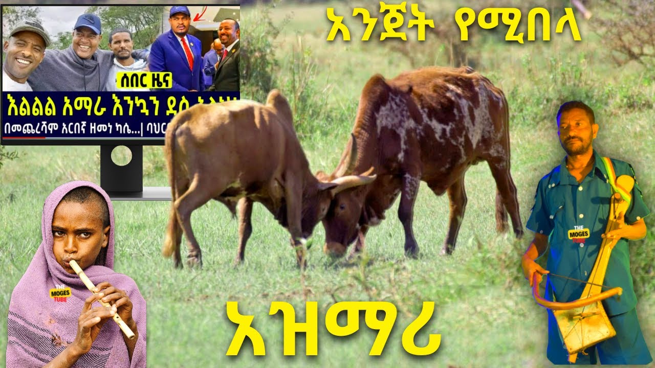 Ethiopia: ምርጥ የትዝታ አዝማሪ ማሲንቆ - Best Ethiopian Traditional Azmari ...