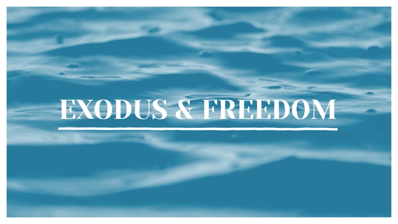 Exodus & Freedom (Part 3 of The Bible Series: Small Group Experience ...