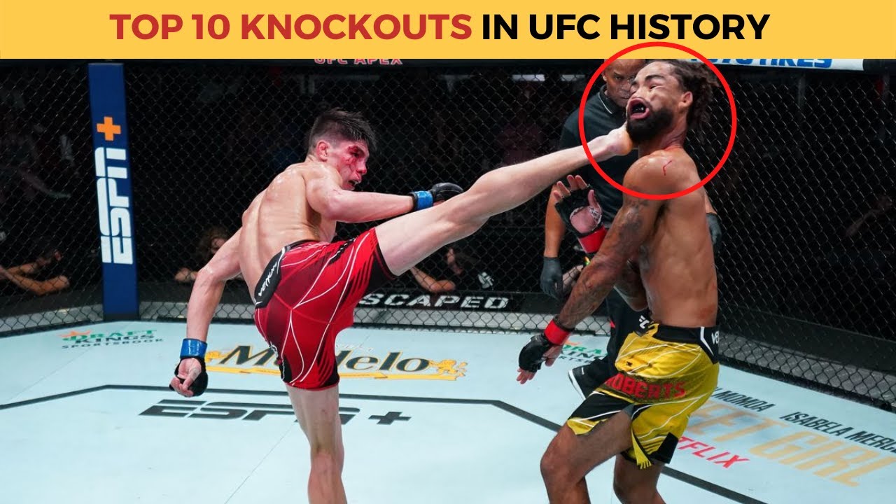 Top 10 most Brutal knockouts ever seen in UFC history - YouTube
