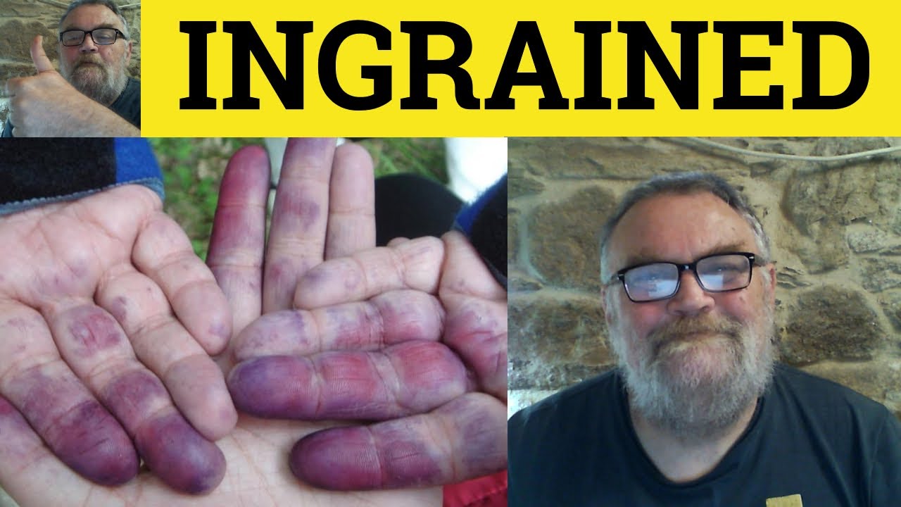 🔵 Ingrained Meaning - Ingrained Examples - Ingrained Definition - GRE ...