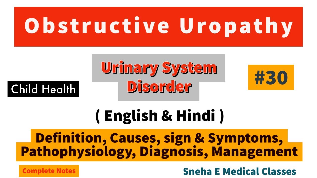 Obstructive Uropathy | Causes | Symptoms | Pathophysiology | Diagnosis ...