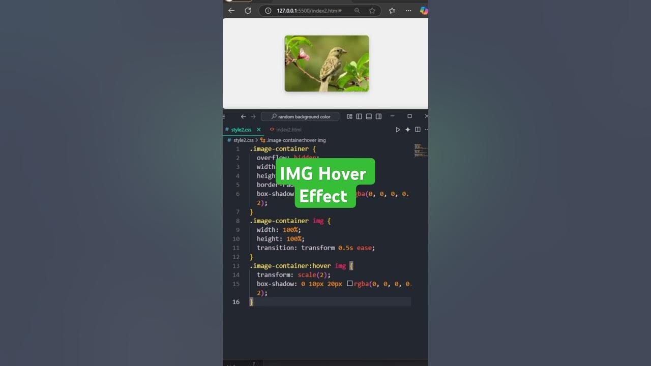 🔥Day 16 : IMG Hover Effect | CSS | 100 Days Challenge 🚀#coding #100DaysOfCode #RamadanCoding # ...