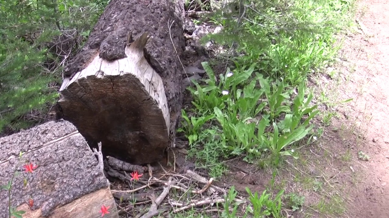 Blue Canyon, Blackcap Basin: 2012-07-04 - YouTube