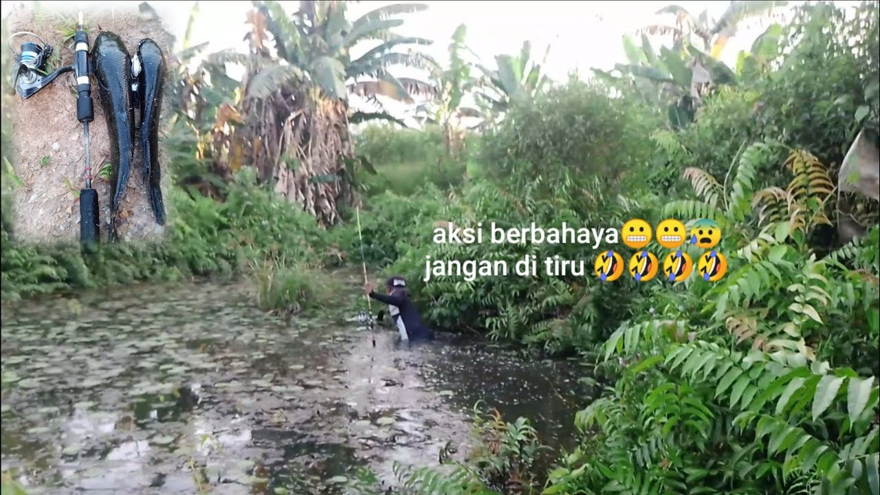 aksi heroik jangan sampai lepas 🤣 misi menyelamatkan ikan yang tenggelam 😬🤣#castinggabus # ...