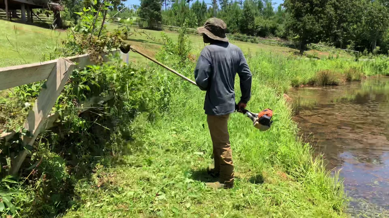 Extreme Weed Eating With Stihl FS130r - YouTube