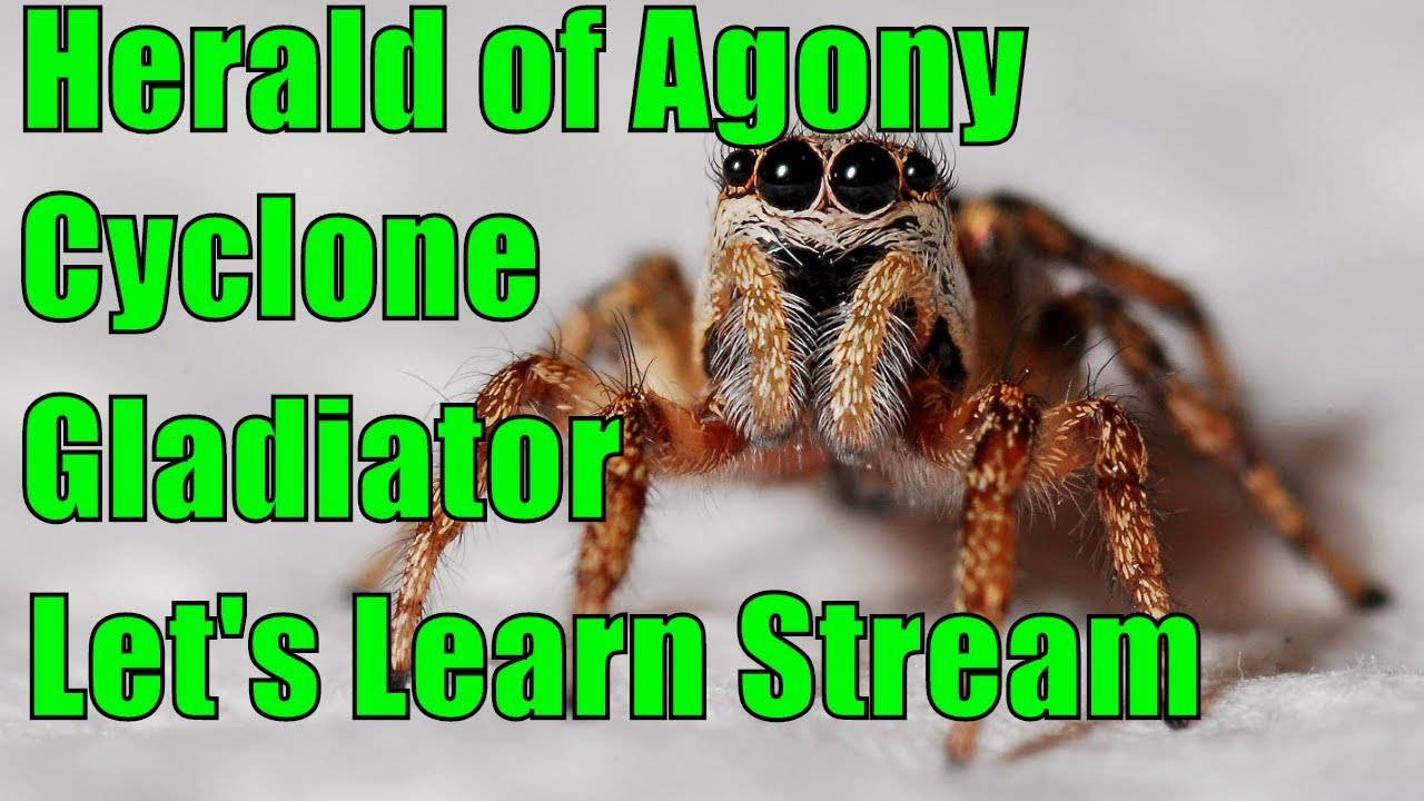 [3.6 HC] Herald of Agony (Cyclone) Gladiator - Let's Learn - PoE ...