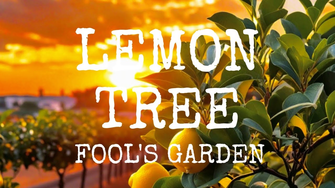 Fool's Garden - Lemon Tree - YouTube
